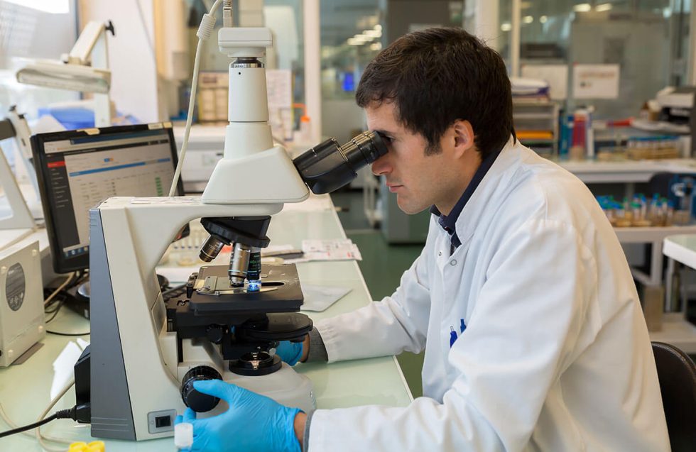 Laboratoire du Haillan – BIOLAB 33